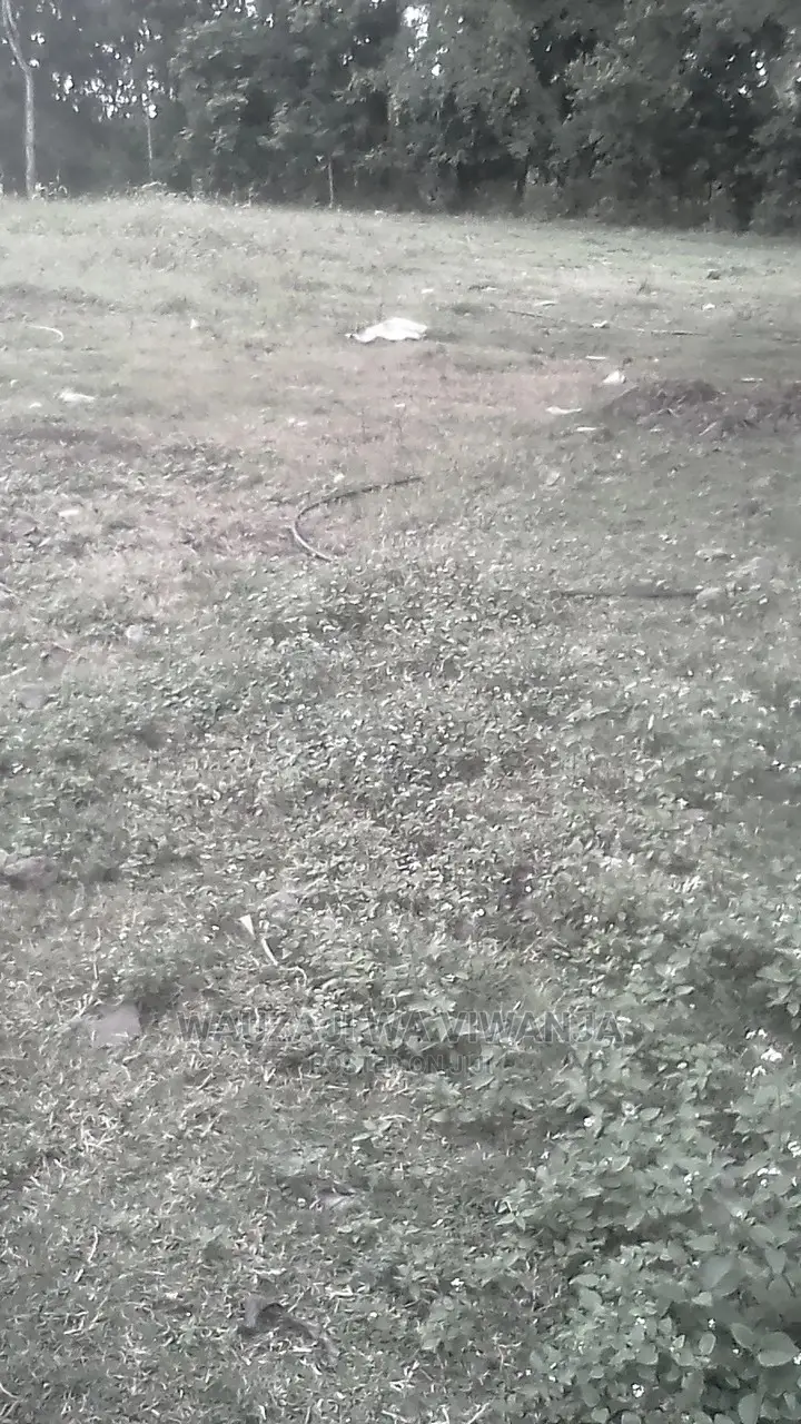 Mradi Mpya Wa Viwanja in Moshi Urban - Land & Plots for Sale, Richard ...