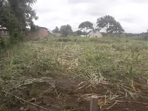 Land & Plots for Sale in Arusha Prices in April 2025 on Jiji.co.tz
