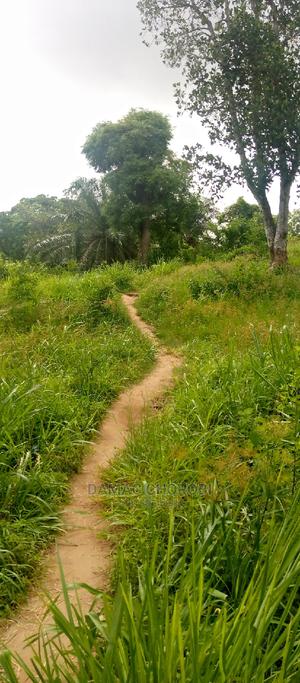 Viwanja Hivi Bora Kabisa Vinauzwa Vipo Luguruni -Mbezi in Mbezi - Land ...