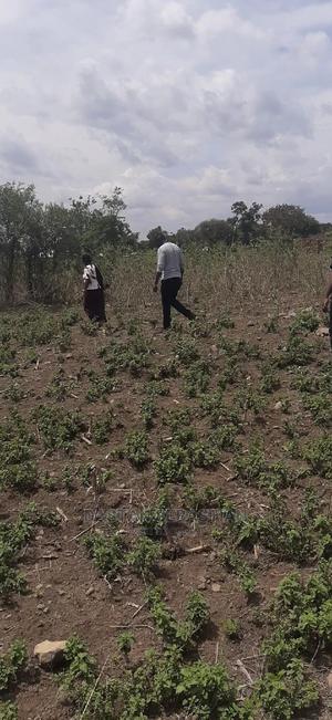 Miliki Viwanja Bora Vilivyopimwa Na Serikali in Arusha - Land & Plots ...