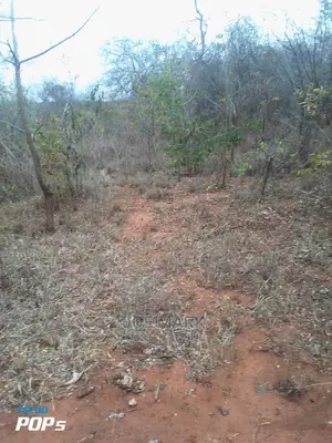 Shamba Linauzwa Handeni in Kwasunga - Land & Plots for Sale, Joe Mark ...