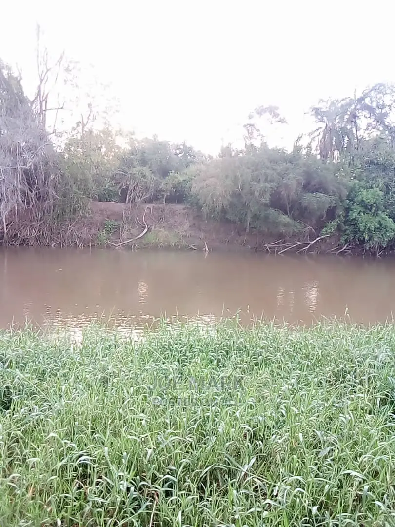 Shamba Linauzwa Tanga in Mkata - Land & Plots for Sale, Joe Mark | Jiji ...