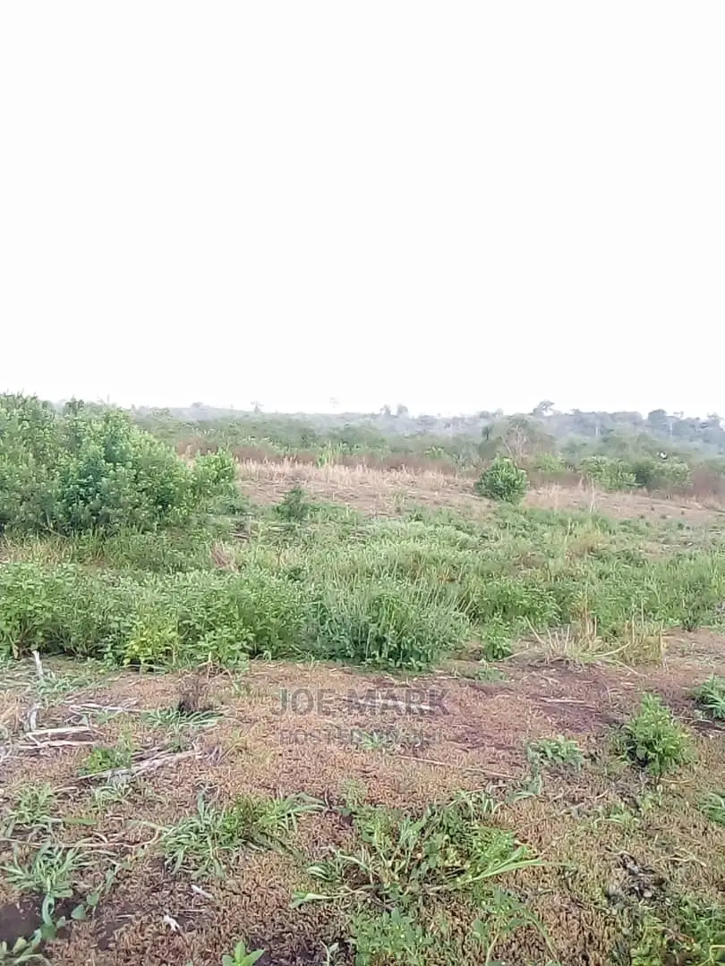 Shamba Linauzwa Tanga in Mkata - Land & Plots for Sale, Joe Mark | Jiji ...