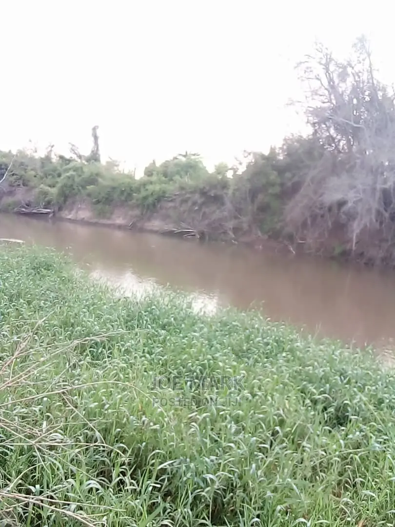 Shamba Linauzwa Tanga in Mkata - Land & Plots for Sale, Joe Mark | Jiji ...