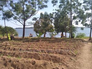 Plot for Sale at Mwanza Bwiru in Bugando - Land & Plots for Sale, Mbaga ...