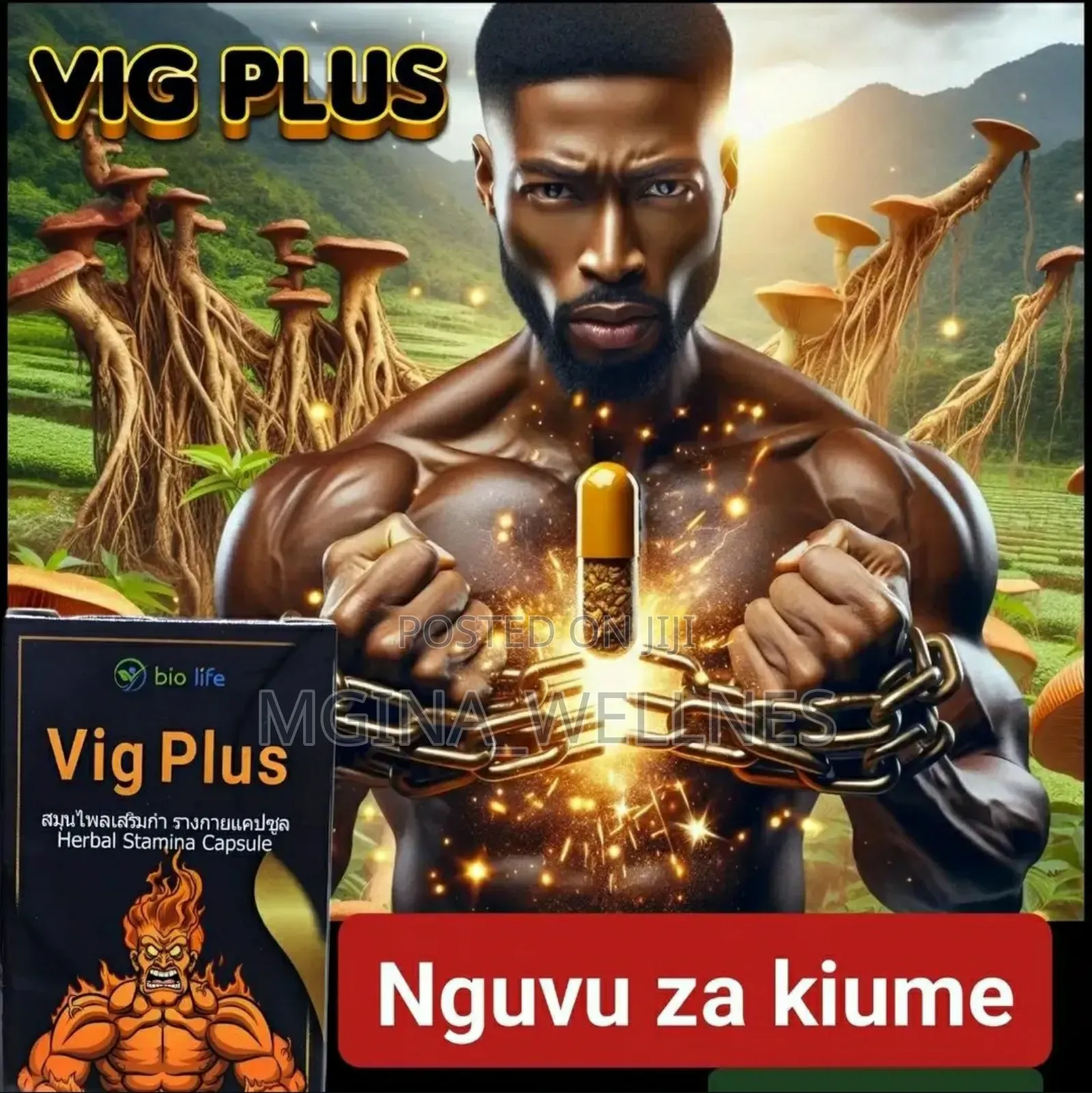 Vig PLUS for Men Vitality in Kinondoni - Sexual Wellness, Mgina ...