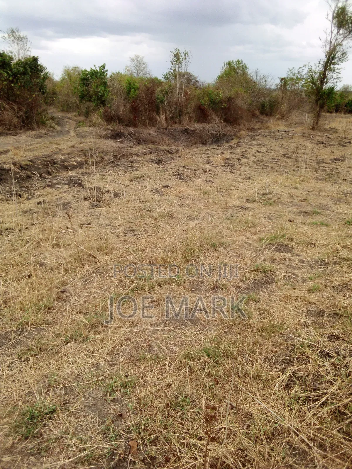 Shamba Linauzwa Pingo Chalinze in Chalinze - Land & Plots for Sale, Joe ...