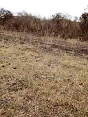 Shamba Linauzwa Pingo Chalinze in Chalinze - Land & Plots for Sale, Joe ...