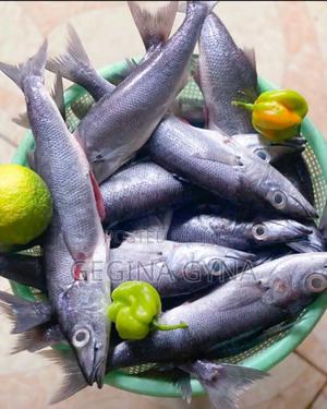 Migebuka Fresh Kutoka Kigoma Kwa Oda Tu in Kinondoni - Meals & Drinks ...