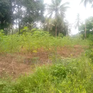 Farmland for Sale in Tanzania Prices in April 2025 on Jiji.co.tz