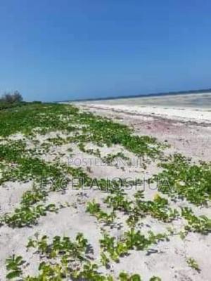 Beach Plots for Sale at Changehela in Mapinga Bagamoyo in Bagamoyo ...