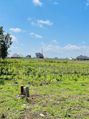 Viwanja Vipo Kuanzia Milioni Moja Na Nusu in Hai - Land & Plots for ...