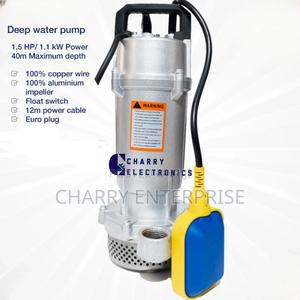 Mr UK Deep Pump/ Sewage Pump 1.5 HP / 1.1 KW DEPTH 40m in Ilala ...