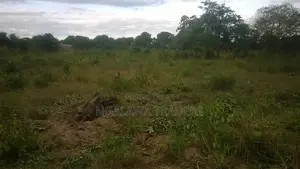 Farmland for Sale in Tanzania Prices in April 2025 on Jiji.co.tz