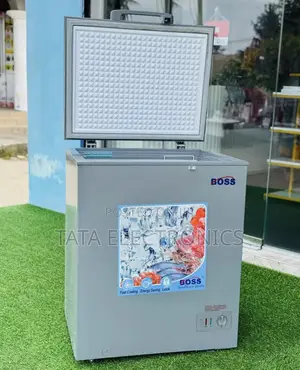 Boss 150 Liter Chest Freezer || Be-150ss in Ilala - Kitchen Appliances ...