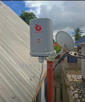 Odu (Outdoor) Unlimited 5g Router From Airtel in Kinondoni - Networking ...