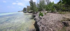 Property in Zanzibar for rent & sale Real Estate price in June 2025 on ...