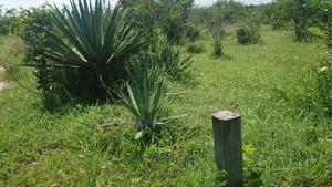 Shamba La Ekri 50 Fukayosi Bagamoyo in Mwavi - Land & Plots for Sale ...