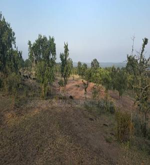 Plot for Sale Msamvu Morogoro Facing the Dar Es Salaam Road in Sabasaba ...