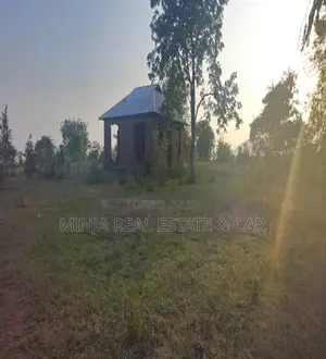 Plot for Sale Msamvu Morogoro Facing the Dar Es Salaam Road in Sabasaba ...