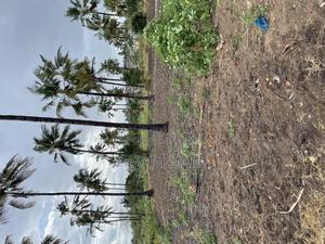Commercial Plots for Sale Buguruni in Buguruni - Land & Plots for Sale ...
