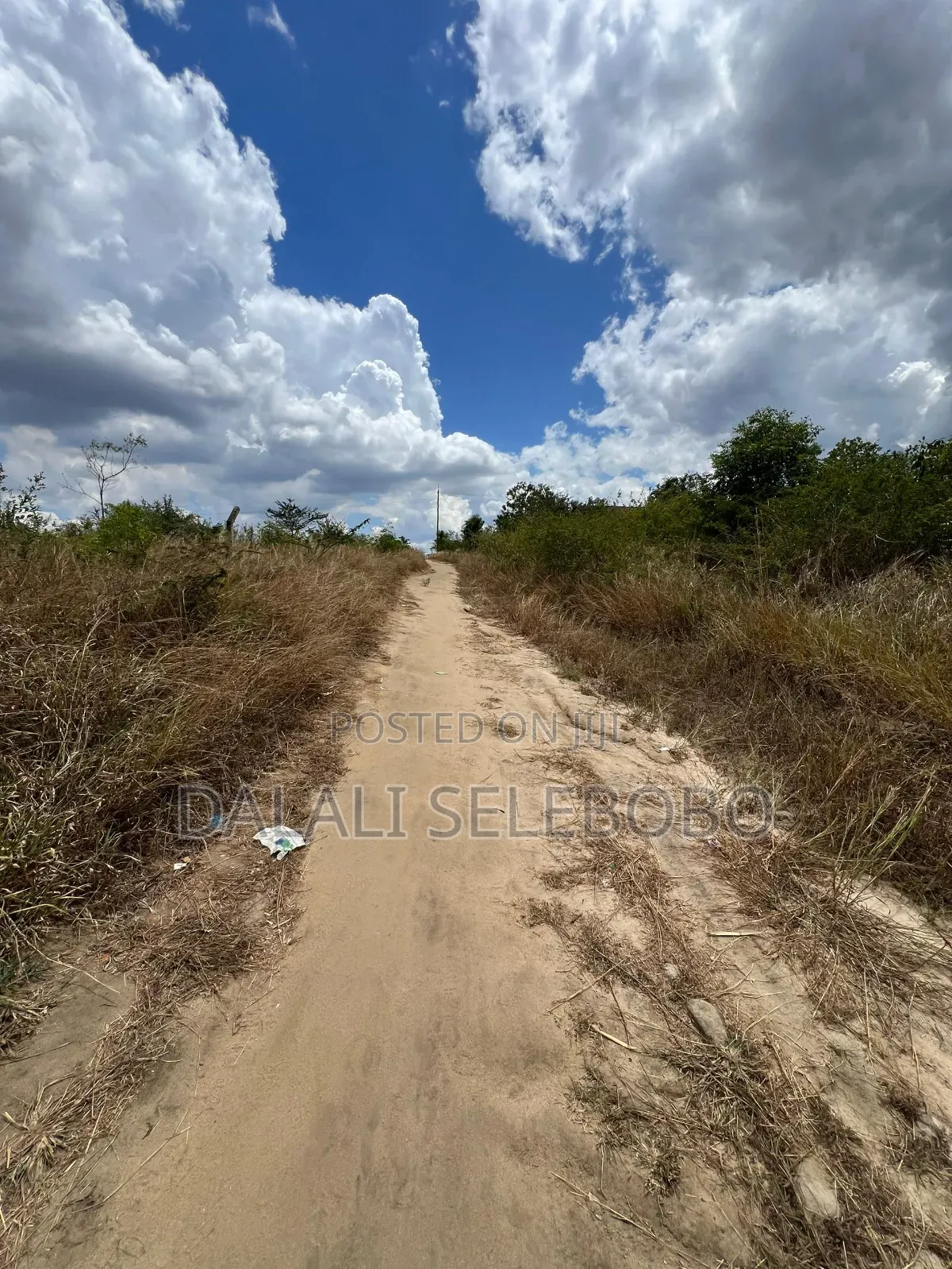 Plot at Kibaha Pangani in Kibaha - Land & Plots for Sale, Selebobo ...