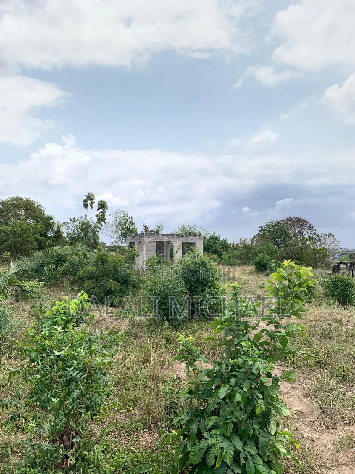 Plot for Sale Bunju Beach Moga in Bunju - Land & Plots for Sale, Dalali ...