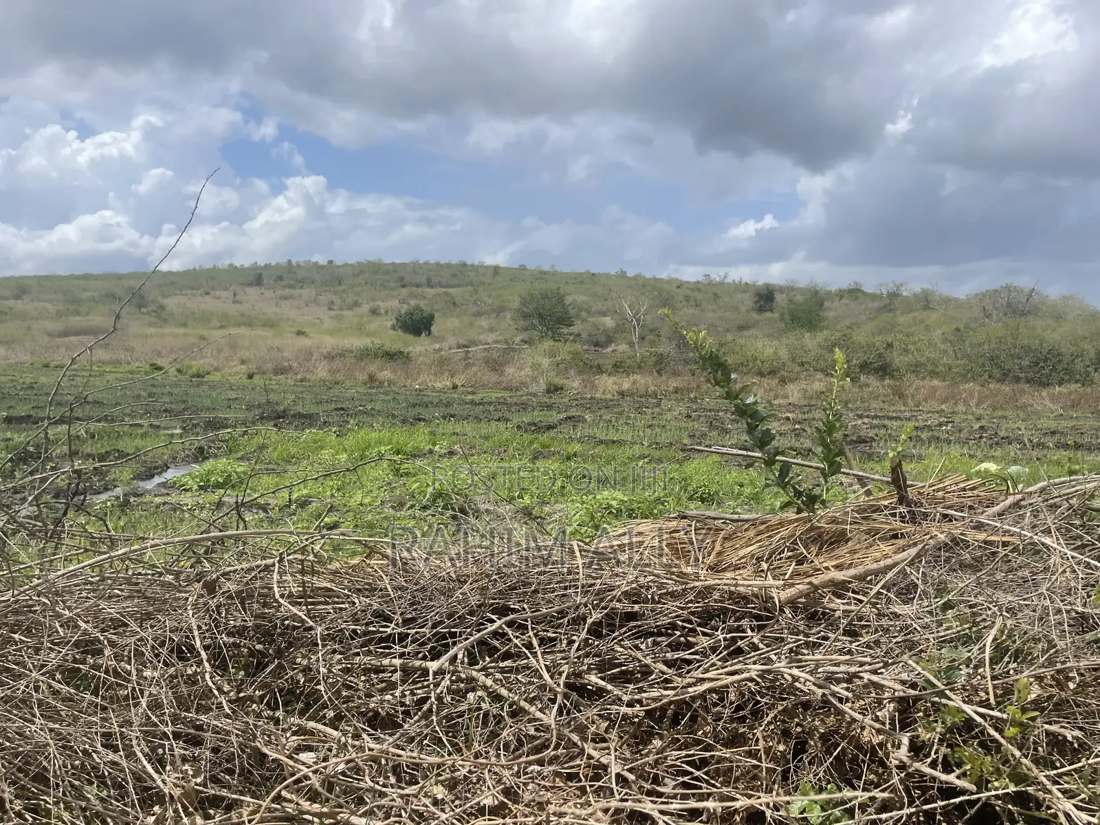 Shamba Linauzwa Lipo Karibu Na Mto in Kiwangwa - Land & Plots for Sale, Rahim Ally | Jiji.co.tz