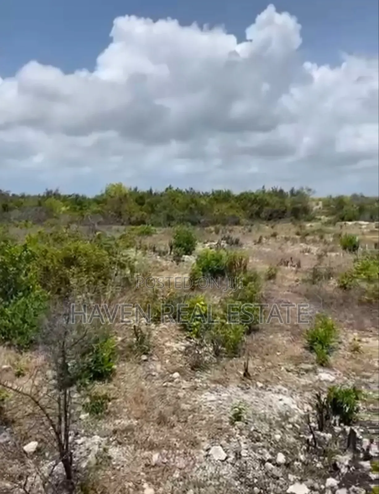 Plot for Sale at Makunduchi Zanzibar in Unguja North - Land & Plots for ...