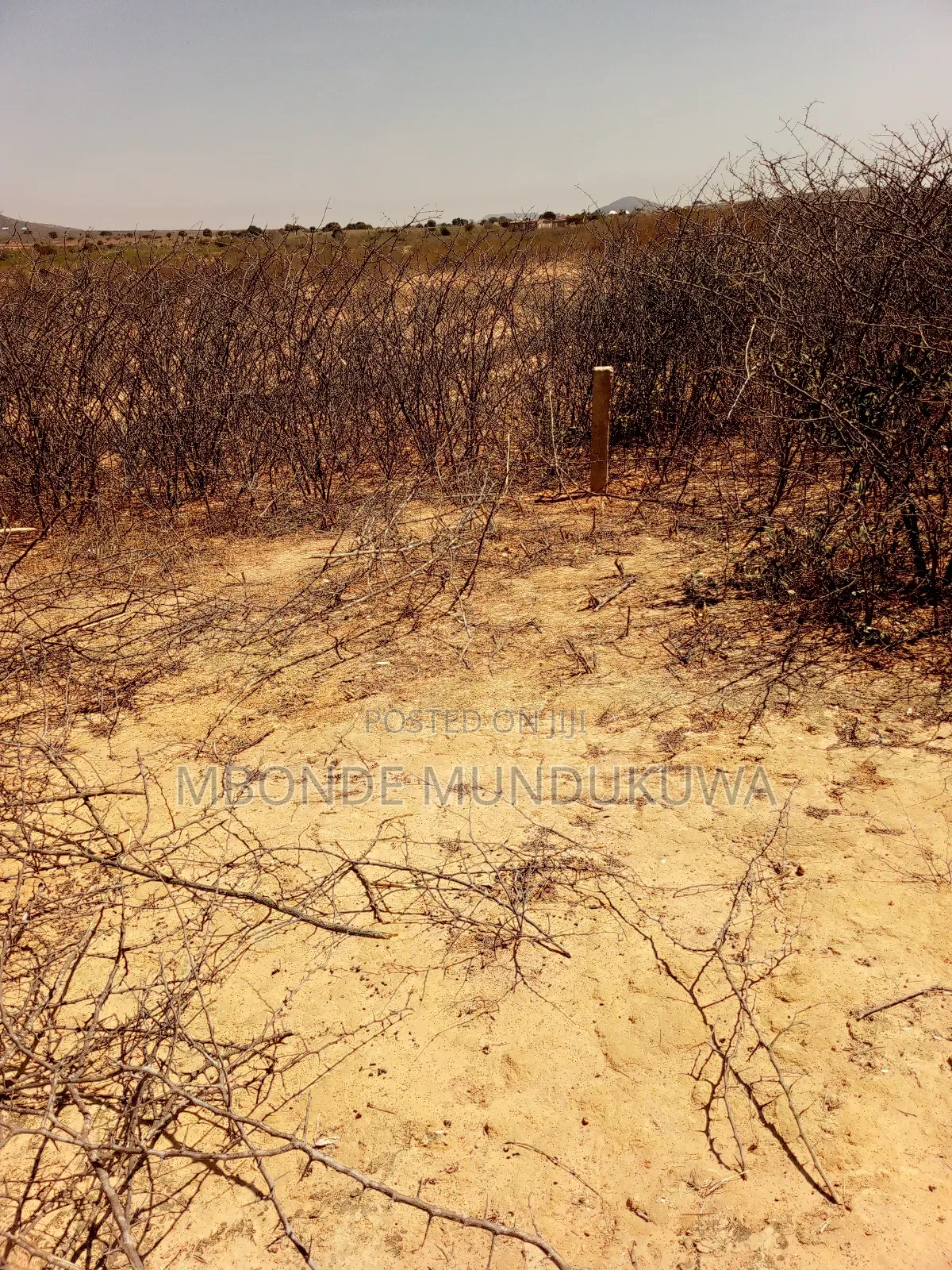 Mashamba Makubwa Dodoma Nara in Dodoma Rural - Land & Plots for Sale ...