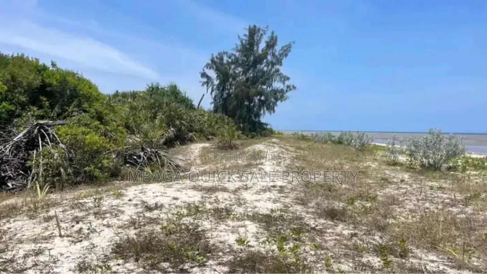 Beach Plot for Sale Per Acres Located at Tanga in Tanga City - Land ...