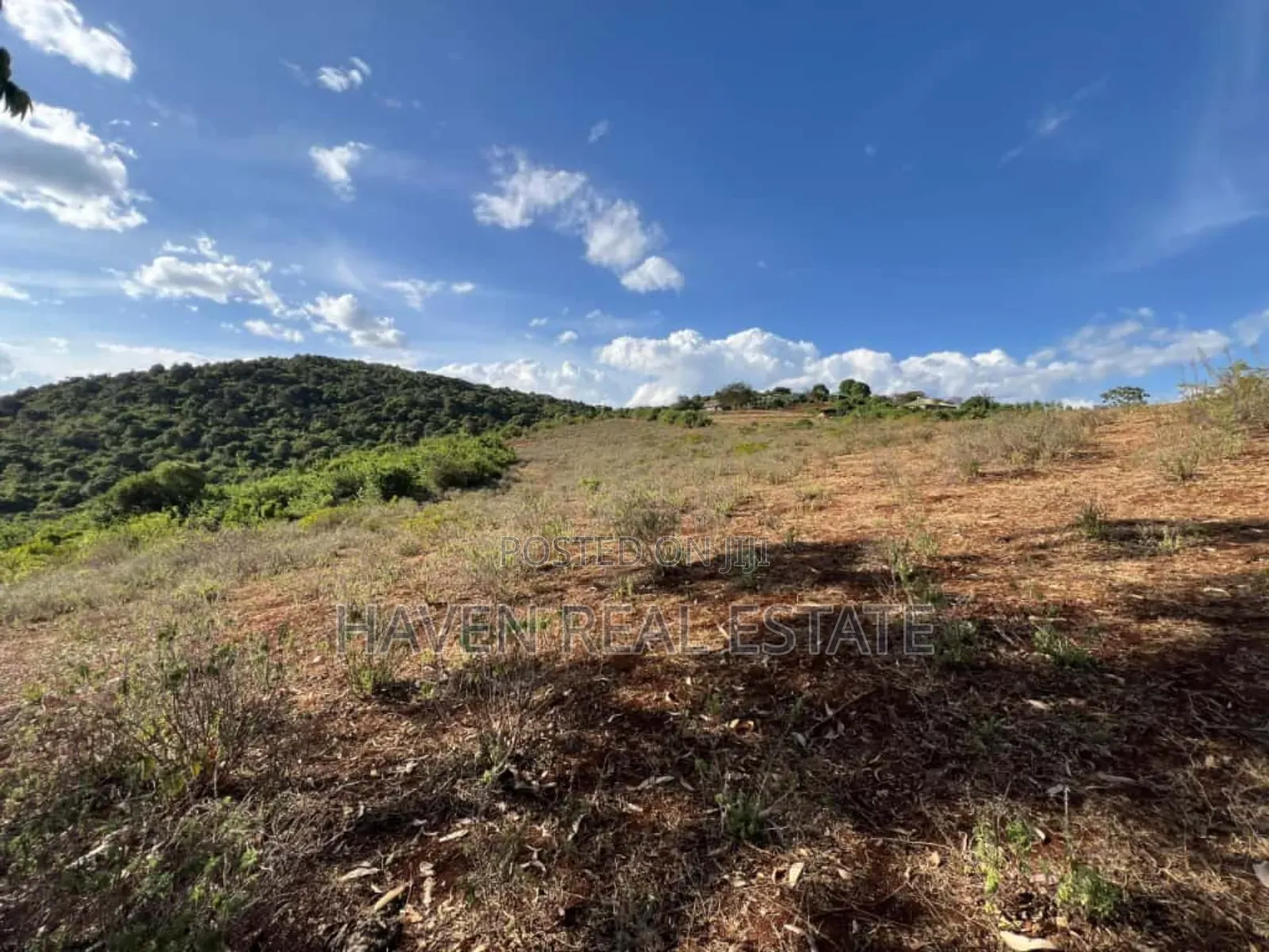 Ekari 7 Za Msitu Halisi (Ngorongoro Fireline) Zinauzwa Marera, Karatu ...