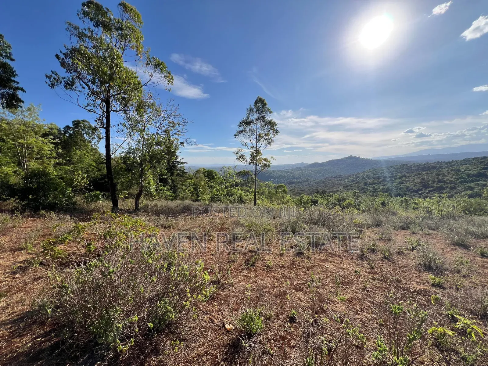 Ekari 7 Za Msitu Halisi (Ngorongoro Fireline) Zinauzwa Marera, Karatu ...