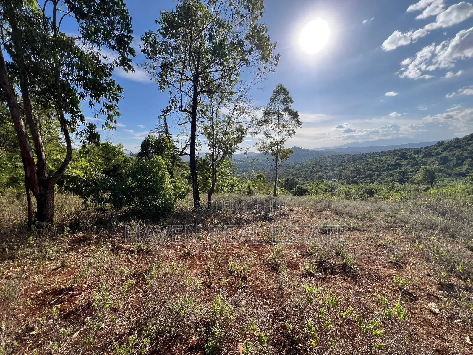 Ekari 7 Za Msitu Halisi (Ngorongoro Fireline) Zinauzwa Marera, Karatu ...