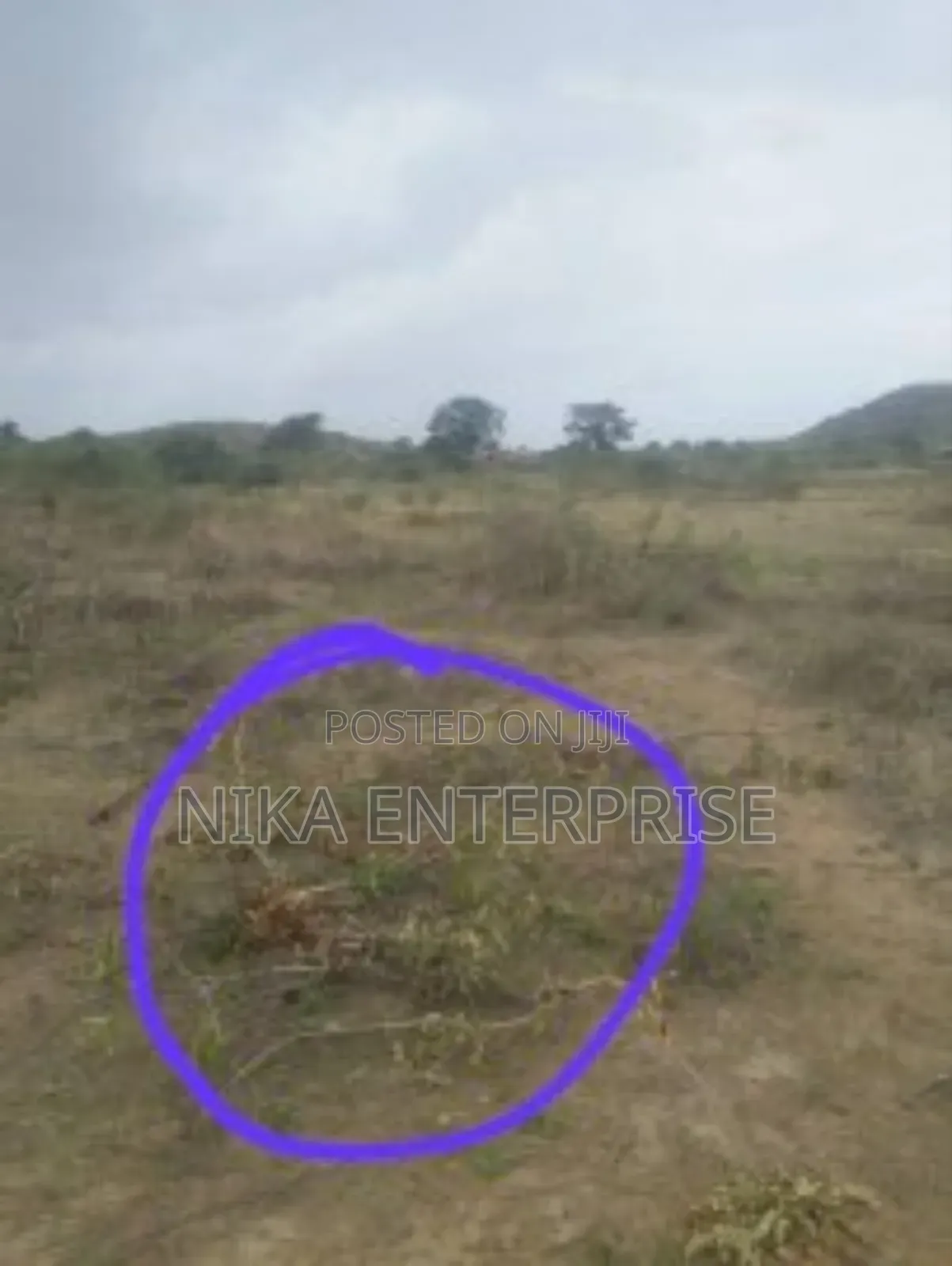 Eneo La Uwekezaji Linauzwa in Ukiriguru - Land & Plots for Sale, Nika ...